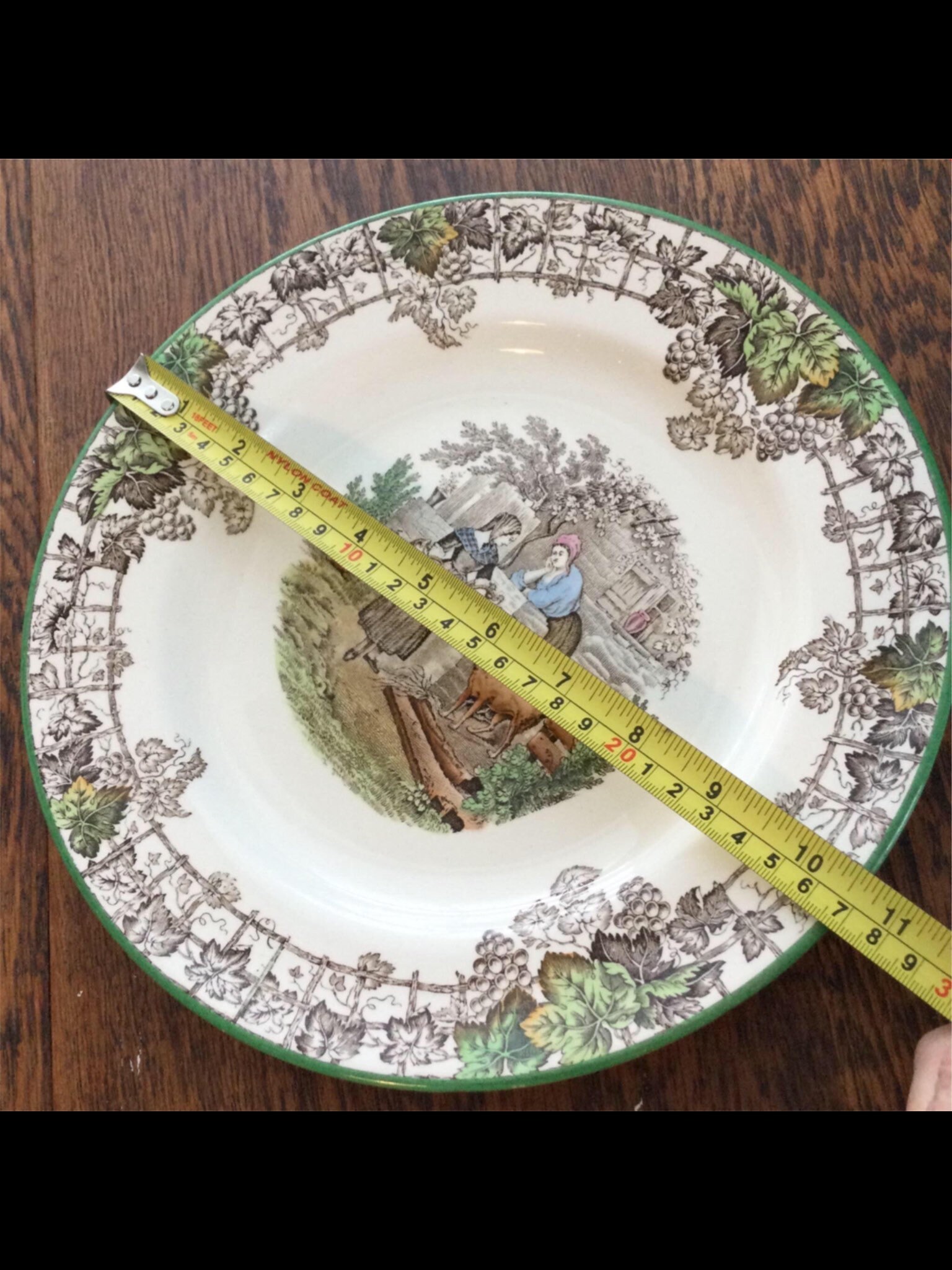 Pretty Copeland Spodes Byron Plate Vine Leaf Design Multicoloured ...