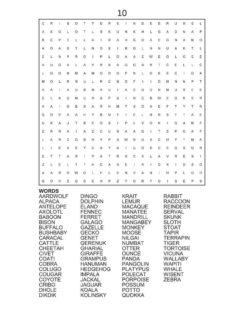 60 Large Print Word Search Puzzles - Etsy