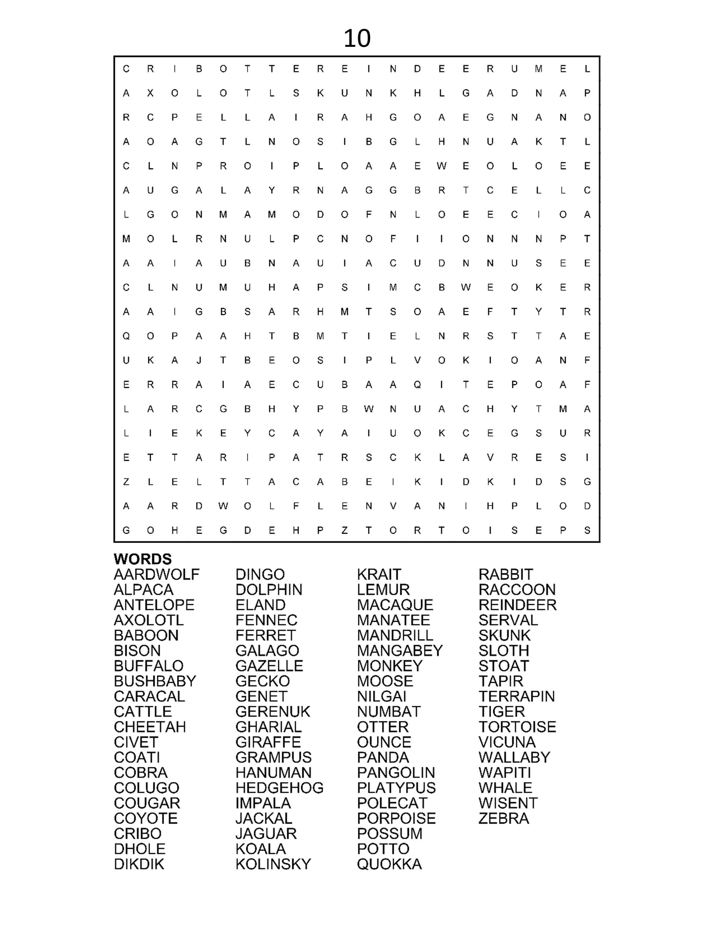 60 Large Print Word Search Puzzles - Etsy