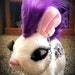 Rad Rabbit Punk Rock, Alt, Goth Girl Rabbit Toy That Hops and Squeaks ...