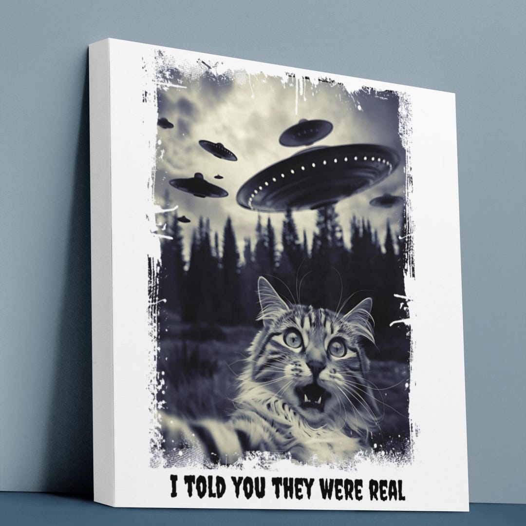 Cat UFO Canvas Wall Art, Funny Alien Decor, UFO Alien Cat Art, Sci-fi ...