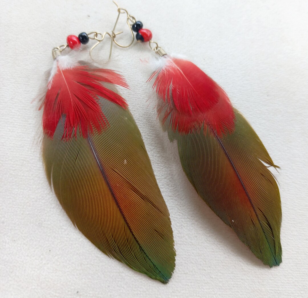 Natural Parrot Guacamayo Bright Blue Feather Earrings From the Jungle ...