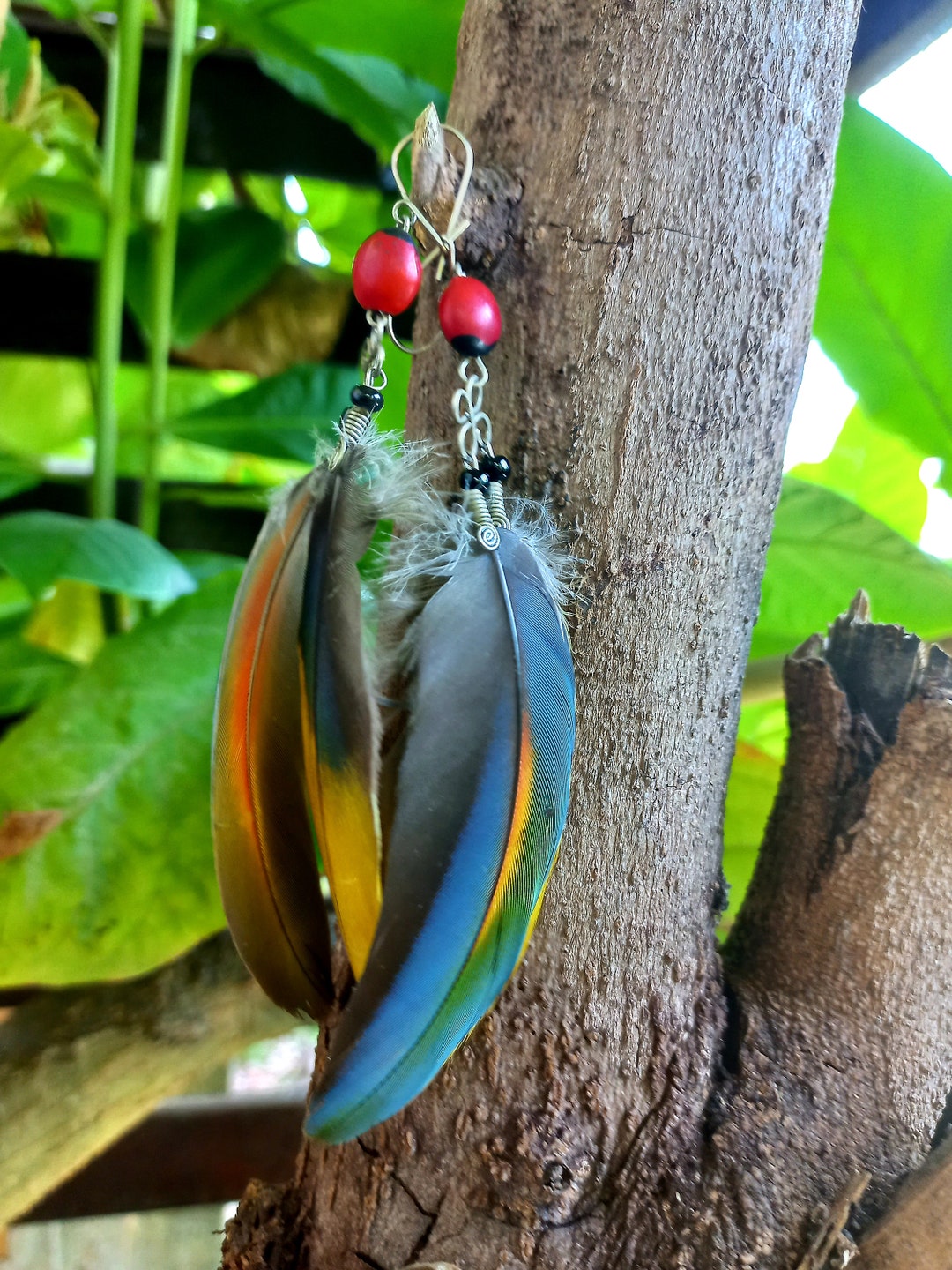 Guacamayo Feather Earrings With Little Wairuru Seed Tribal Jungle Wear ...