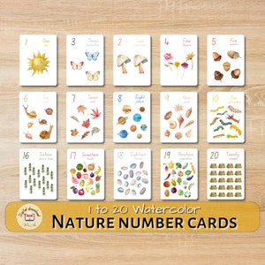 WATERCOLOR NATURE Number Flashcards 1 to 20 Counting Cards 123 ...