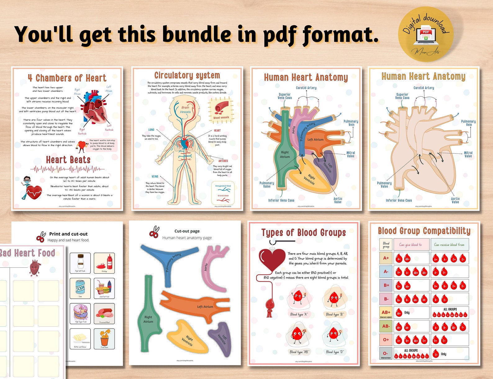 Human Heart Anatomy Printable Activity Homeschool Curriculum - Etsy