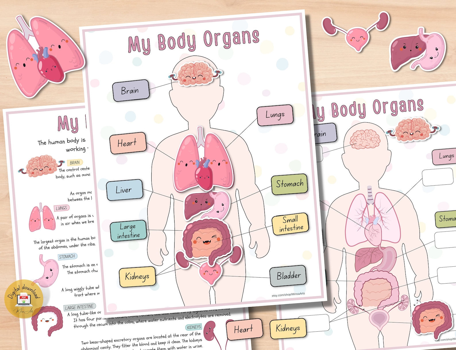 Body Organs Activity Worksheets for Kids Printable - Etsy