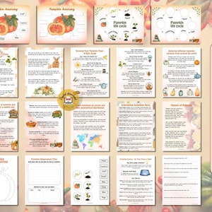 Engaging Pumpkin Unit Study for Kids #1 | PRINTABLE Homeschool ...