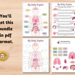 Body Organs Activity Worksheets for Kids | Printable Montessori ...