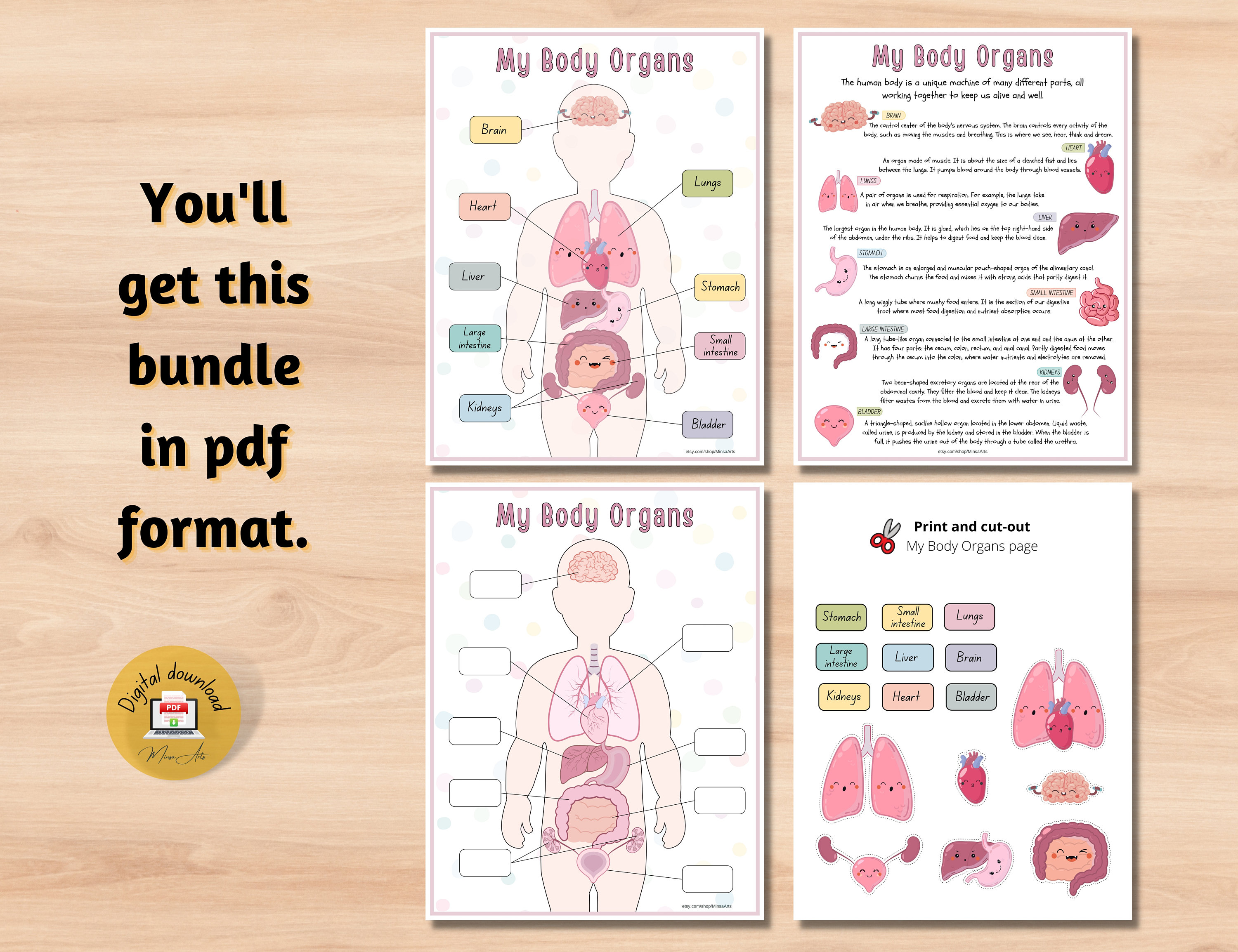 Body Organs Activity Worksheets for Kids Printable - Etsy UK