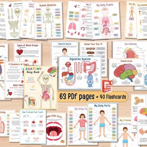 Human Anatomy Busy Book PRINTABLE Human Body Worksheets | Preschool ...