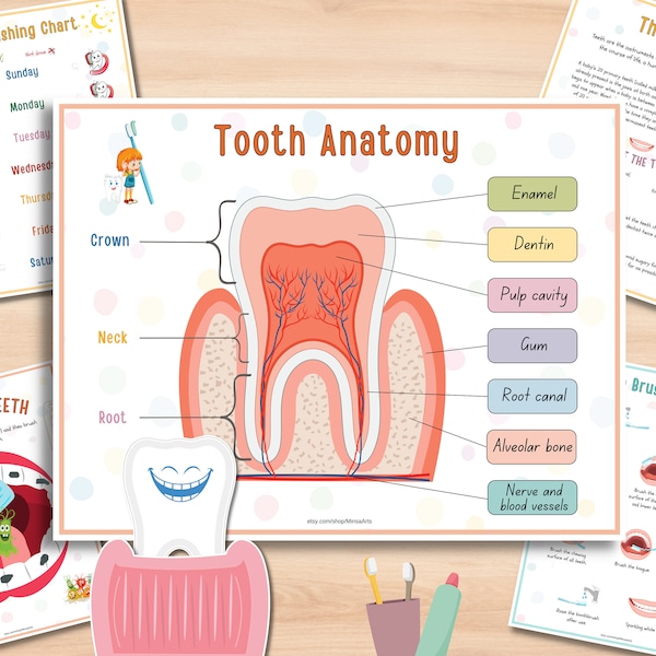 Dental Poster - Etsy