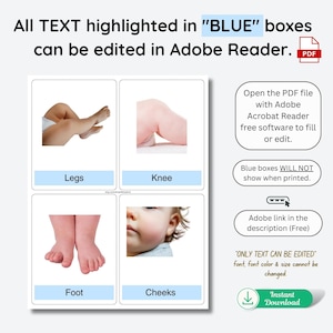 Body Parts Flashcards Real Picture Nomenclature PRINTABLE Text Editable ...