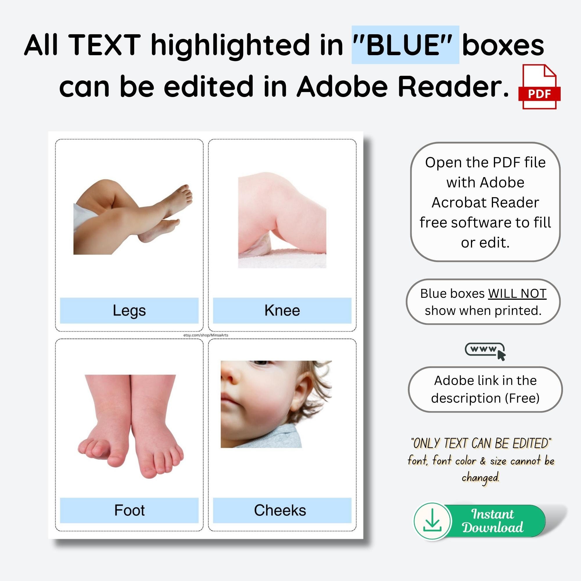Body Parts Flashcards Real Picture Nomenclature PRINTABLE Text Editable ...