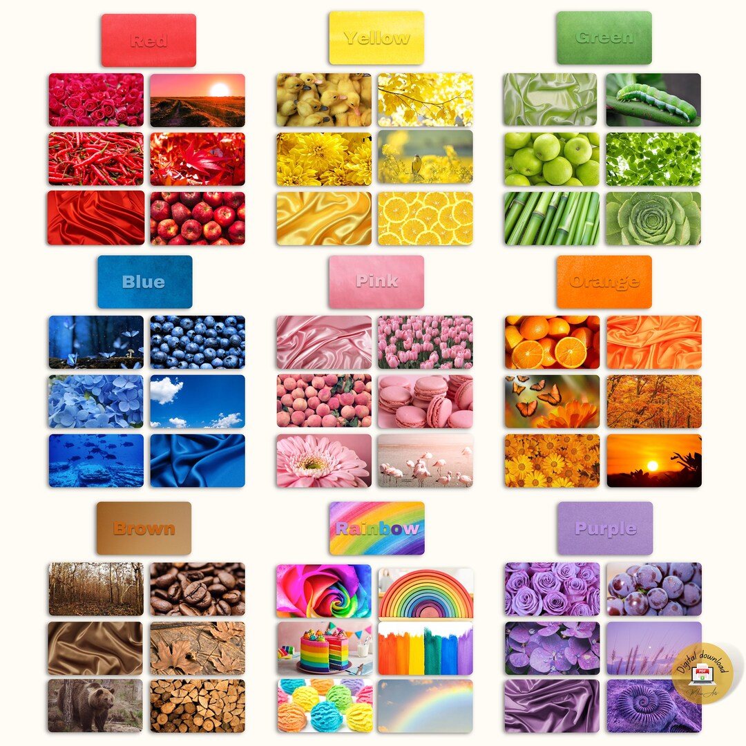 Color Matching Cards for Toddler Learning & Teaching Colors Preschool ...