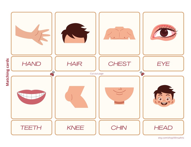 Body Pasts Nomenclature Cards Flashcards Montessori Cards - Etsy