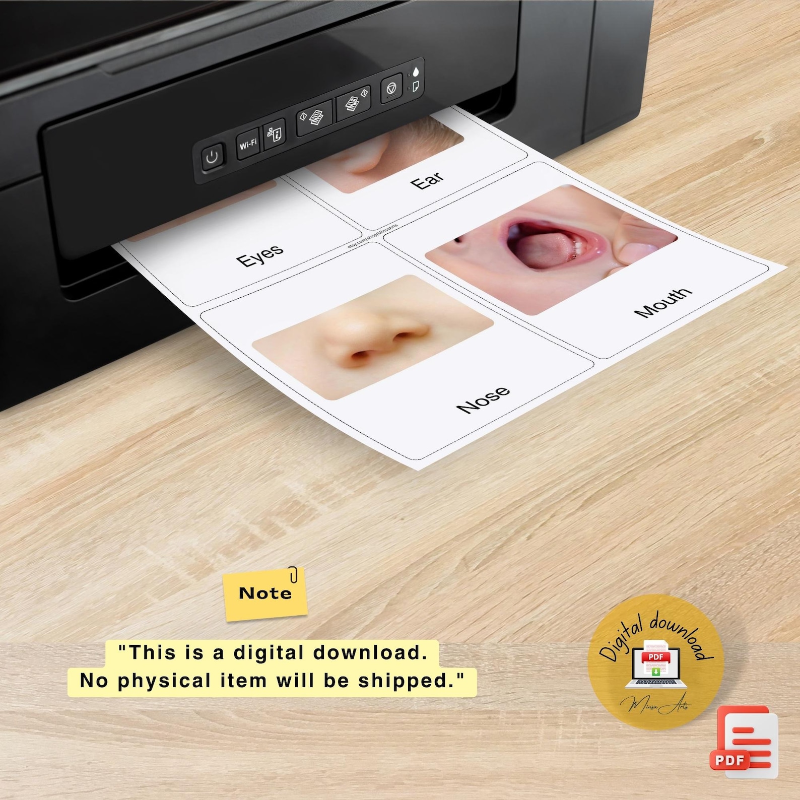 Body Parts Flashcards Real Picture Nomenclature PRINTABLE Text Editable ...