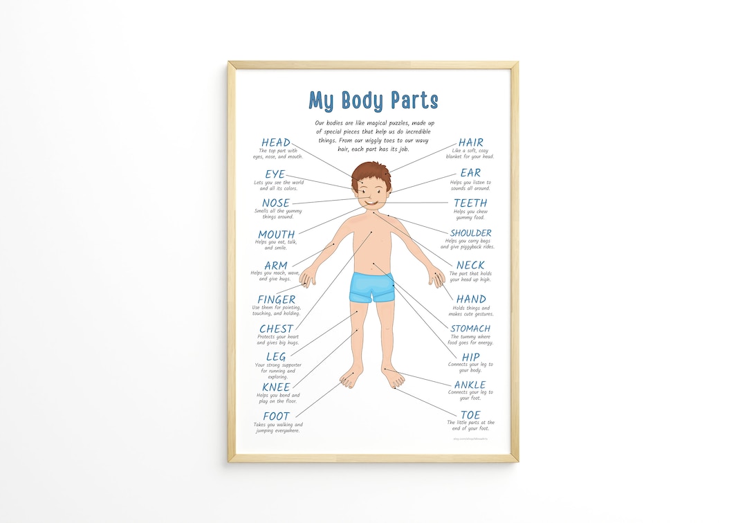 Explore and Learn Human Body Parts Poster PRINTABLE Educational Anatomy ...