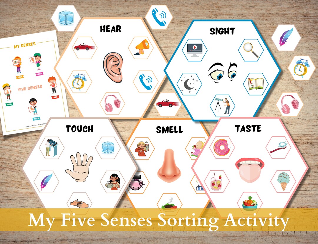 Five Senses Sorting Activity, Busy Bags for Kids, Matching Activity ...