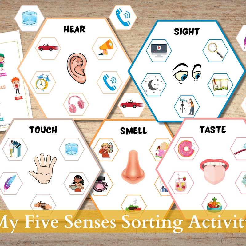 Five Senses Preschool - Etsy