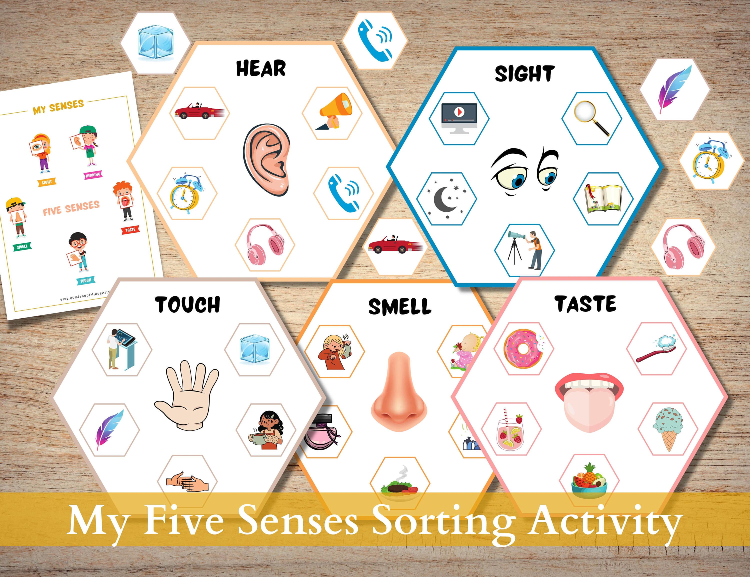 Five Senses Sorting Activity Busy Bags for Kids Matching - Etsy