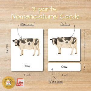 Farm Animal Watercolor Flashcards Nomenclature PRINTABLE Text Editable ...
