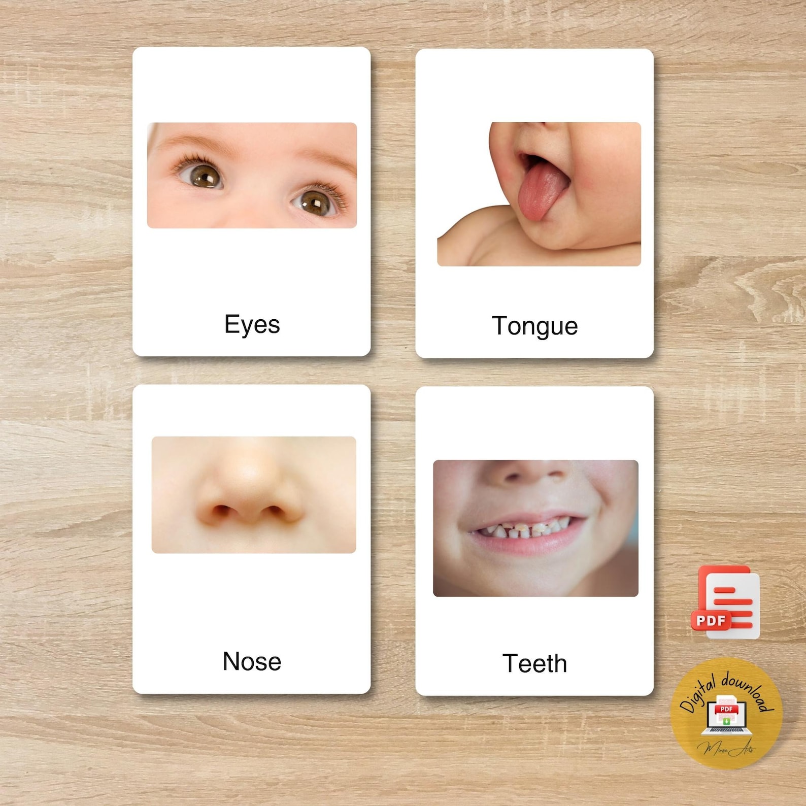 Body Parts Flashcards Real Picture Nomenclature PRINTABLE Text Editable ...