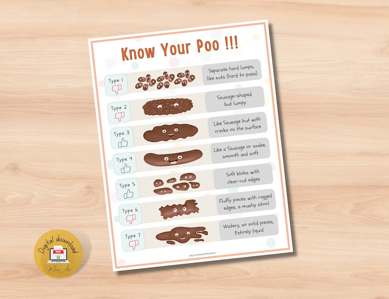 Human Digestive System Printable Activity for Preschool - Etsy UK