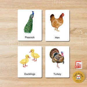 Farm Animal Watercolor Flashcards Nomenclature PRINTABLE Text Editable ...