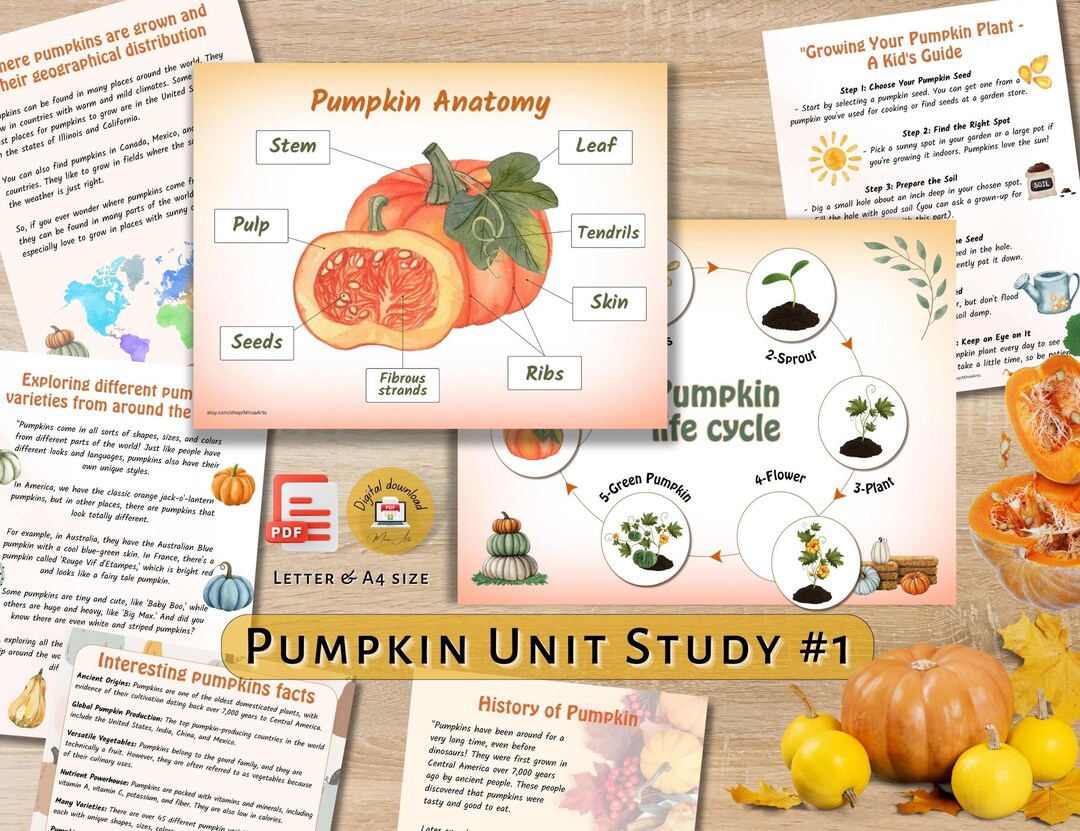 Engaging Pumpkin Unit Study for Kids #1 | PRINTABLE Homeschool ...
