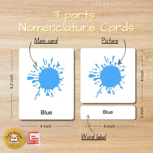 Color Flashcards Nomenclature PRINTABLE Text Editable Montessori Cards ...