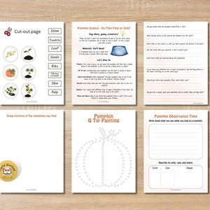 Engaging Pumpkin Unit Study for Kids #1 | PRINTABLE Homeschool ...