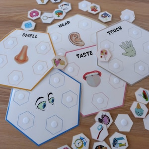 Five Senses Sorting Activity, Busy Bags for Kids, Matching Activity ...