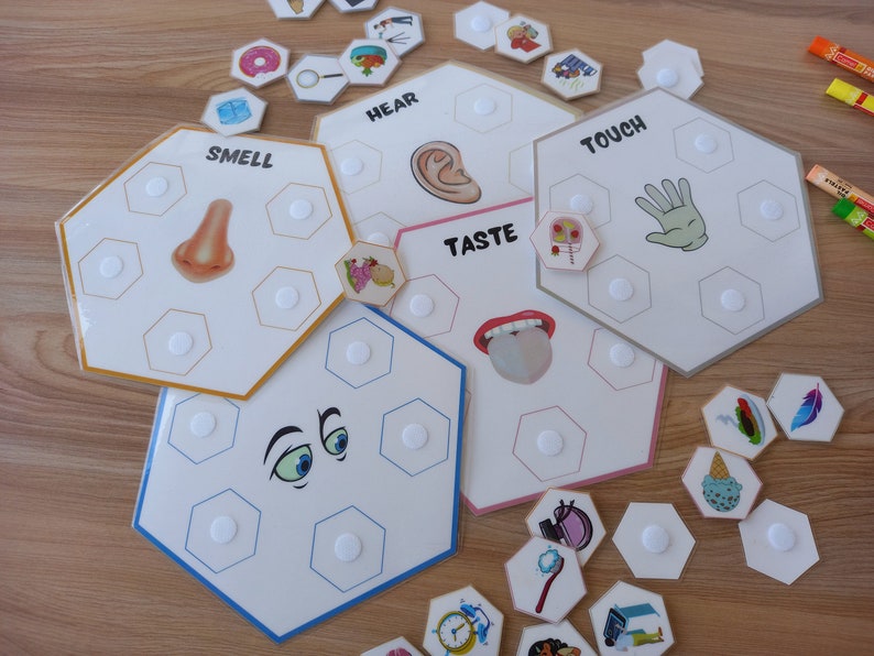 Five Senses Sorting Activity Busy Bags for Kids Matching - Etsy