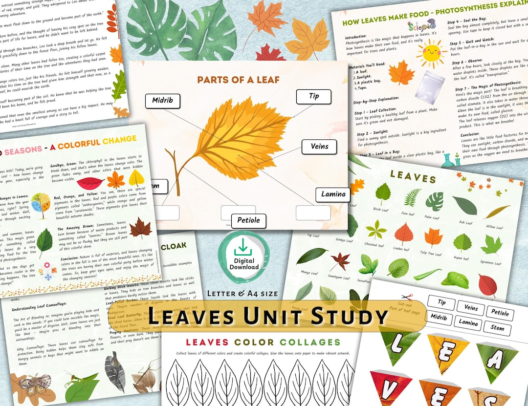 Leaves Unit Study Printable | Fall Science Activities for Kids | Nature ...