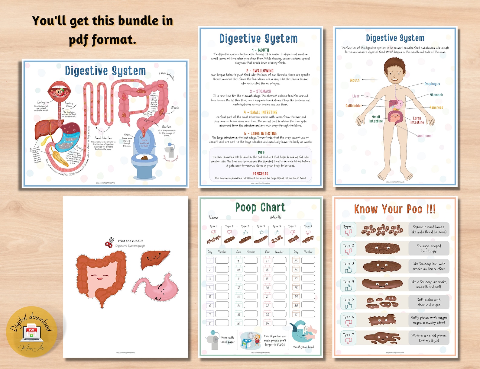 Human Digestive System | Printable Activity for Preschool Homeschool ...