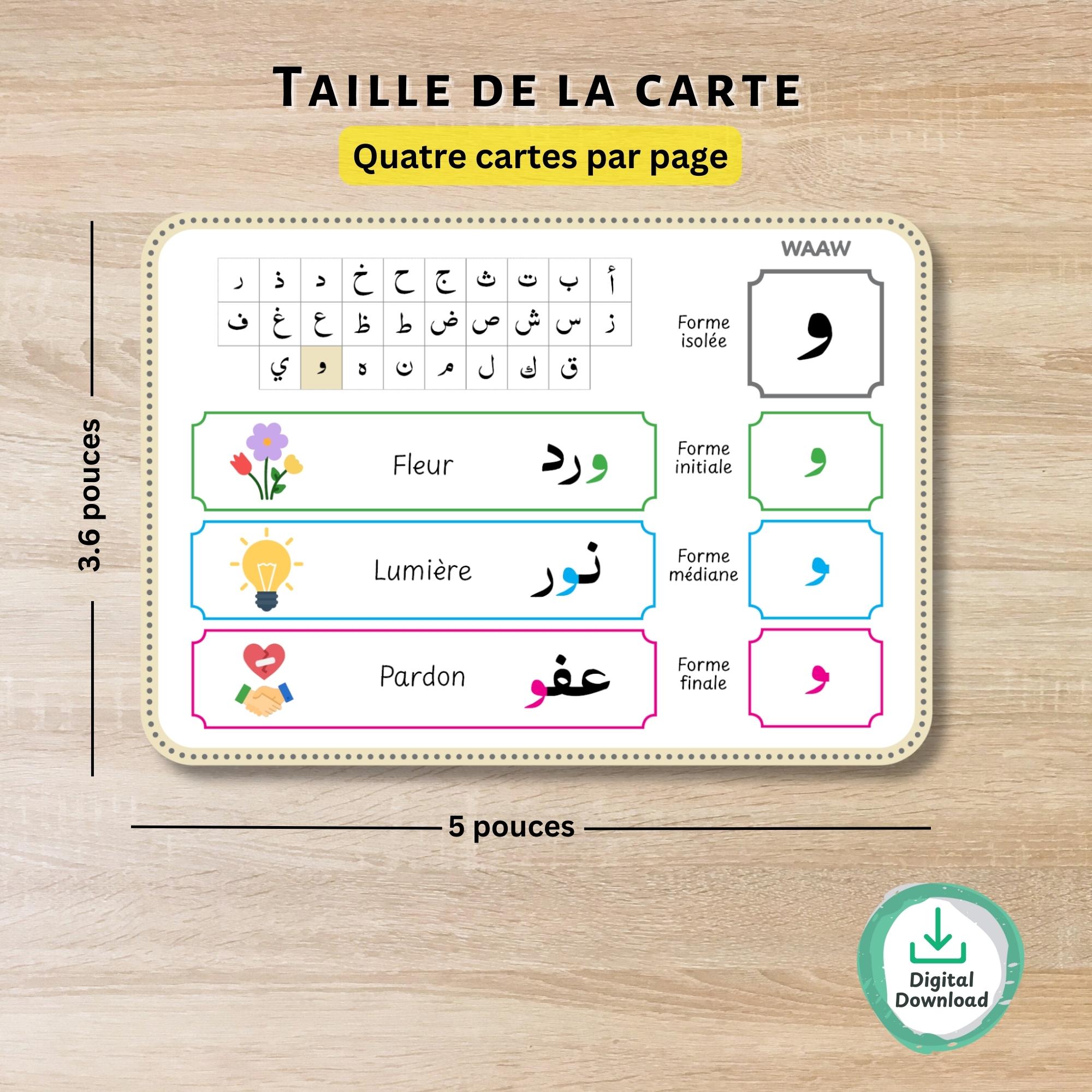Arabic Alphabet Flash Cards: Letters & Positions - Homeschool (PDF) - Etsy