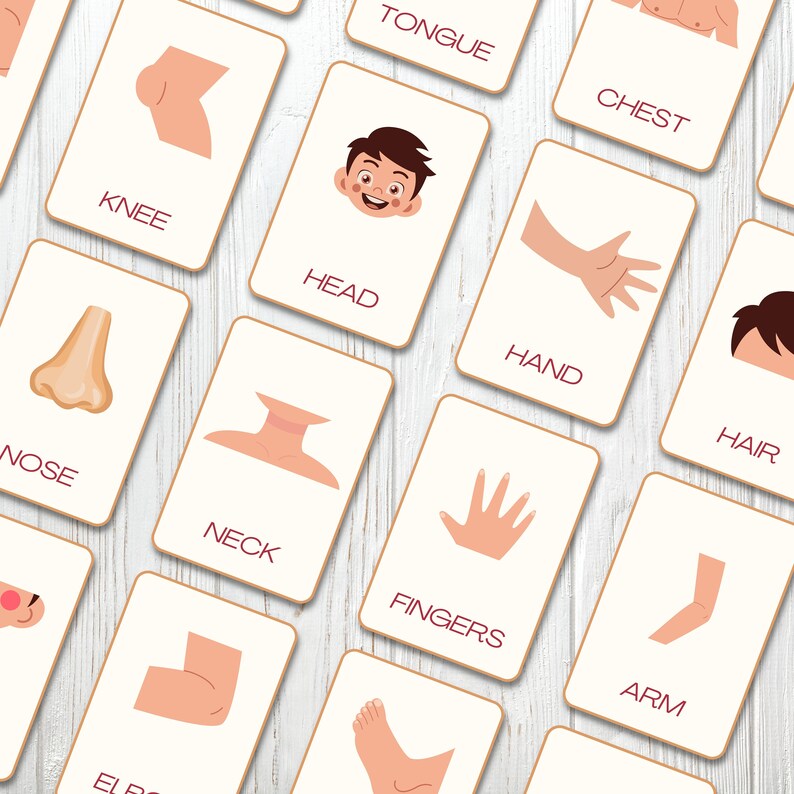 Body Pasts Nomenclature Cards Flashcards Montessori Cards - Etsy