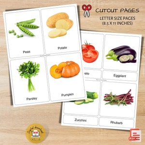 48 Vegetable Flashcards Real Picture Nomenclature PRINTABLE Text ...