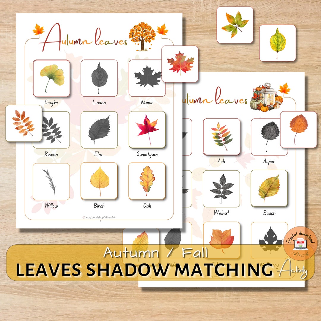 Fall / Autumn Leaf Shadow Matching Activity Montessori Printable for ...