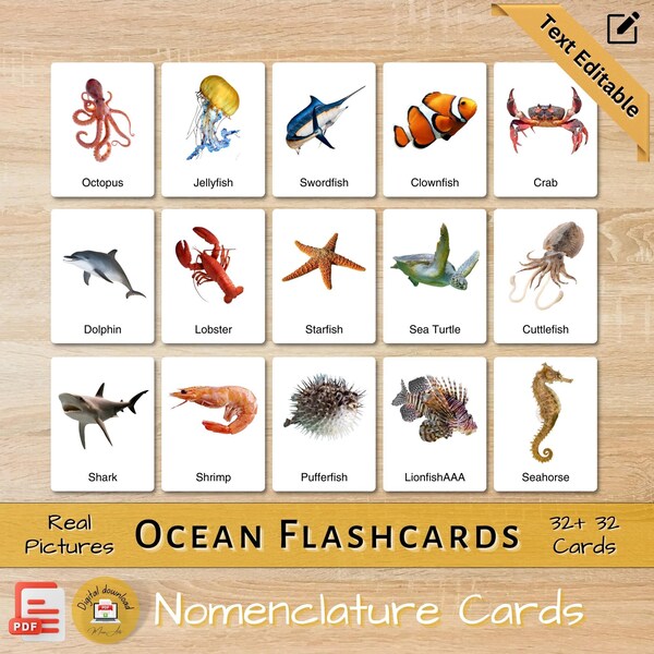 Sea Creature Cards - Etsy Canada