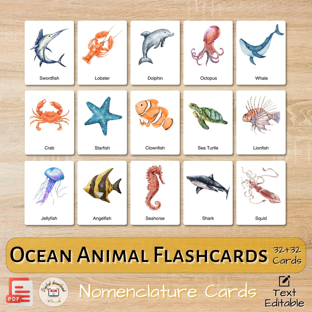 Ocean Animals Watercolor Flashcards Underwater Creature Nomenclature ...