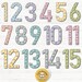 NEUTRAL Skip Counting Large Number Display and Posters | Math ...