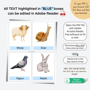 Farm Animal Watercolor Flashcards Nomenclature PRINTABLE Text Editable ...