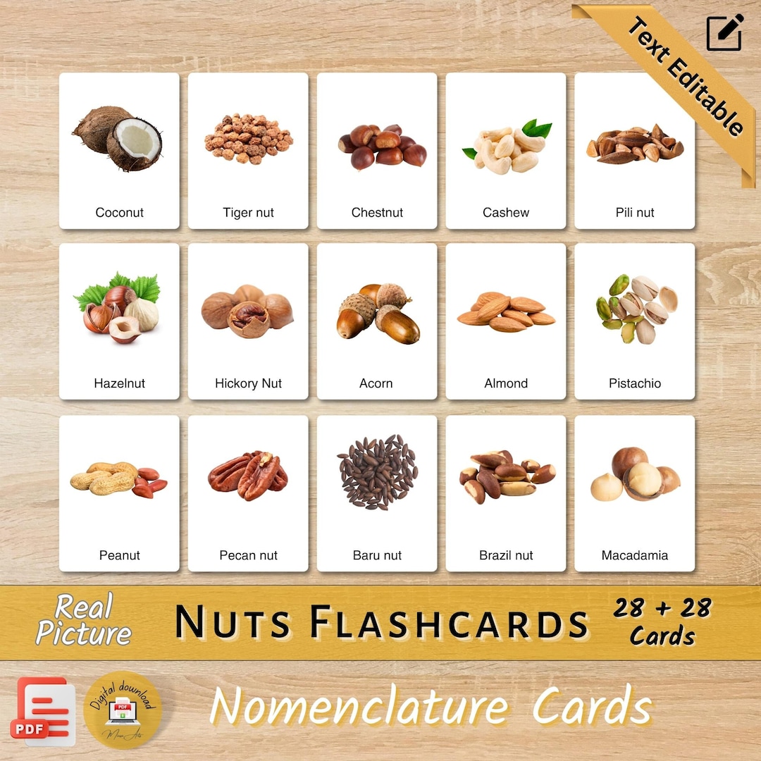 Nuts Flashcards for Kids Real Picture Nomenclature PRINTABLE Text ...
