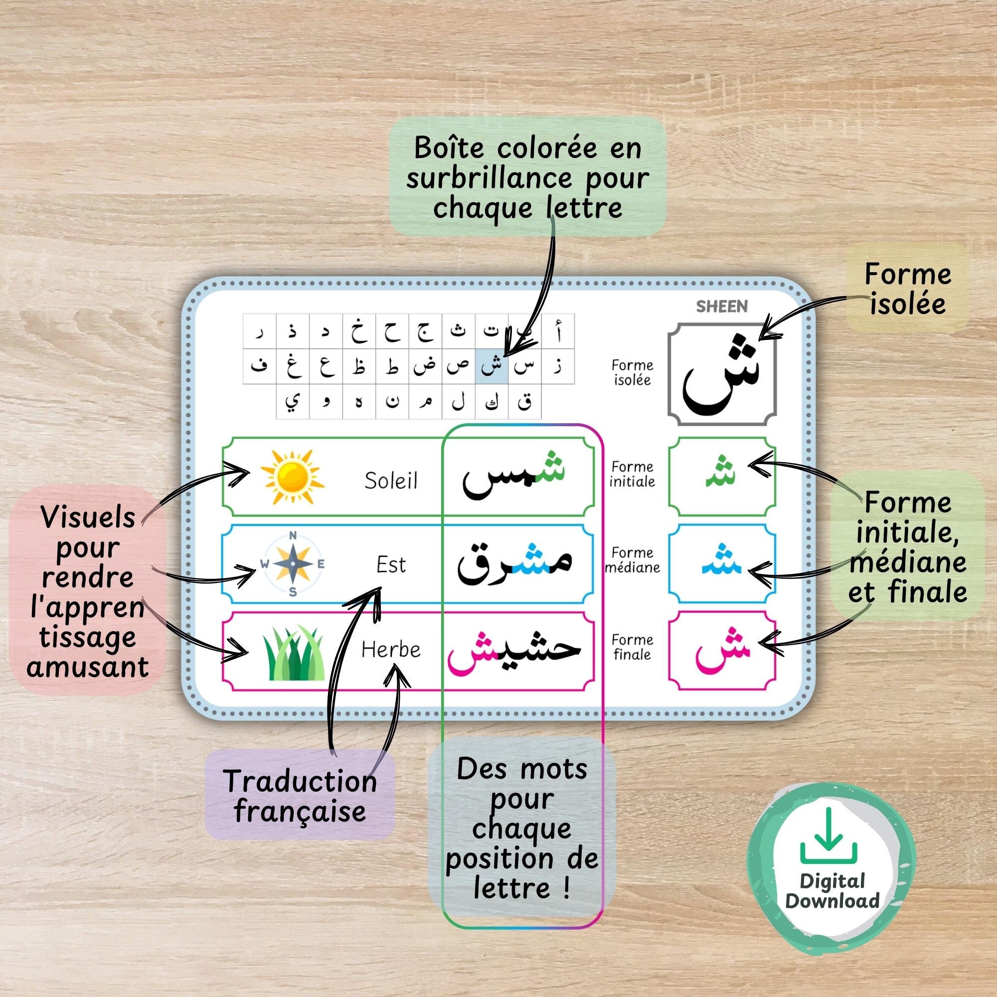 Arabic Alphabet Flash Cards: Letters & Positions - Homeschool (PDF) - Etsy