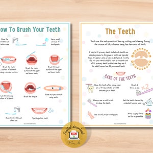 Dental Health and Anatomy Printable for Better Oral Hygiene | Preschool ...