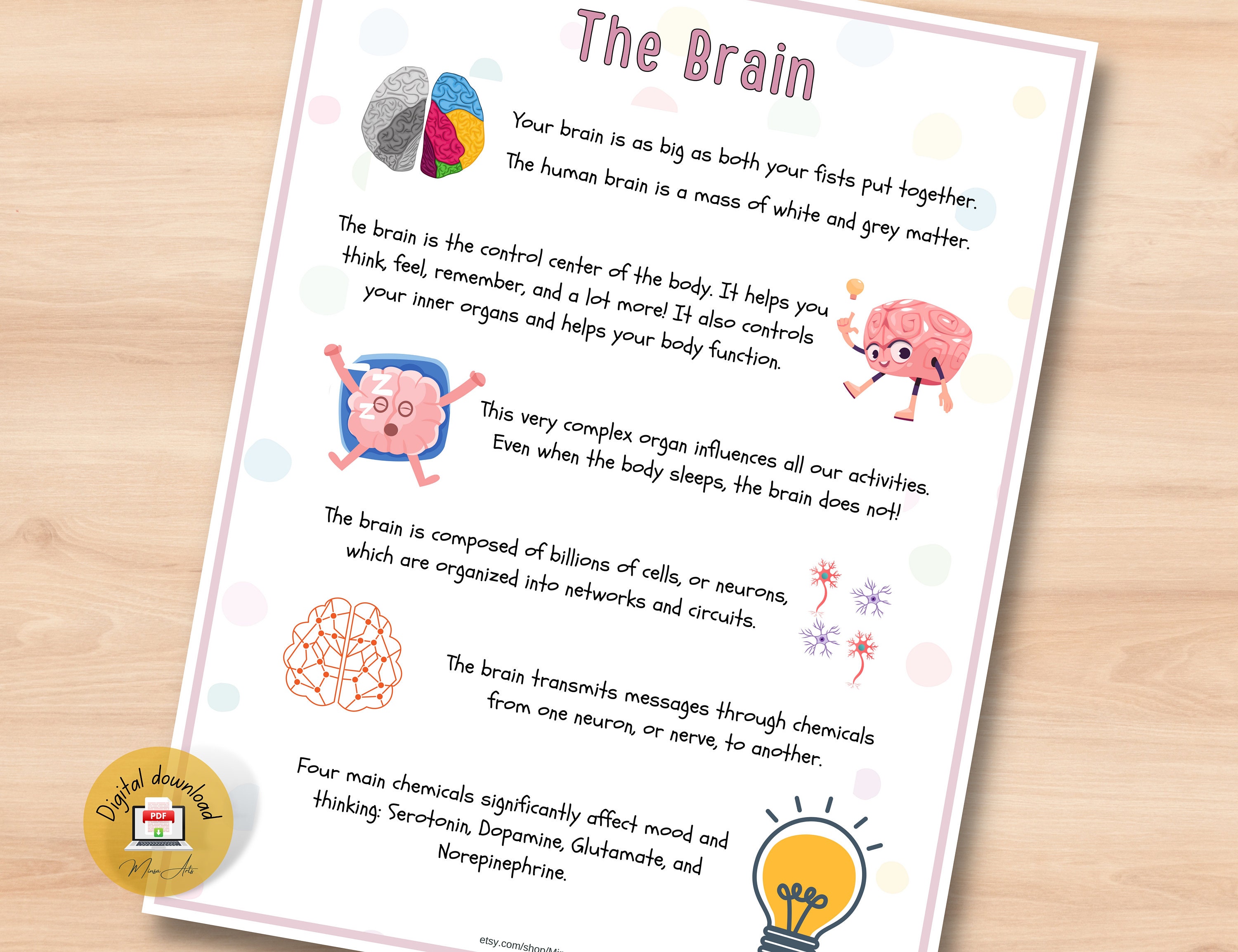 Explore the Human Brain Anatomy A PRINTABLE Activity Pack for Kids ...
