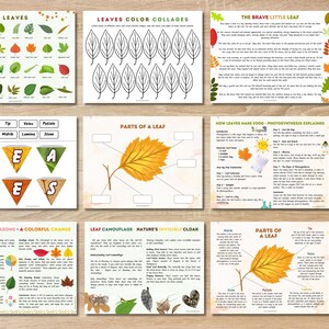 Leaves Unit Study Printable | Fall Science Activities for Kids | Nature ...