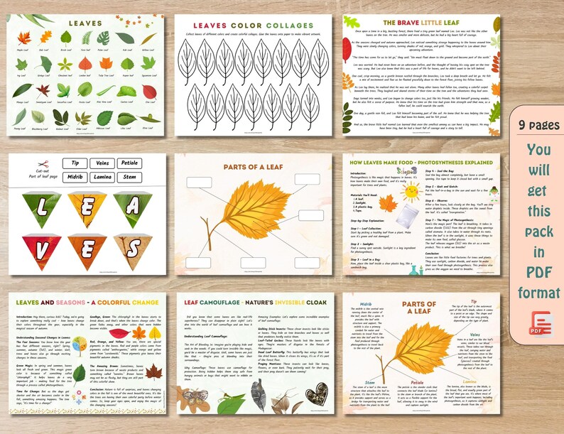 Leaves Unit Study Printable | Fall Science Activities for Kids | Nature ...