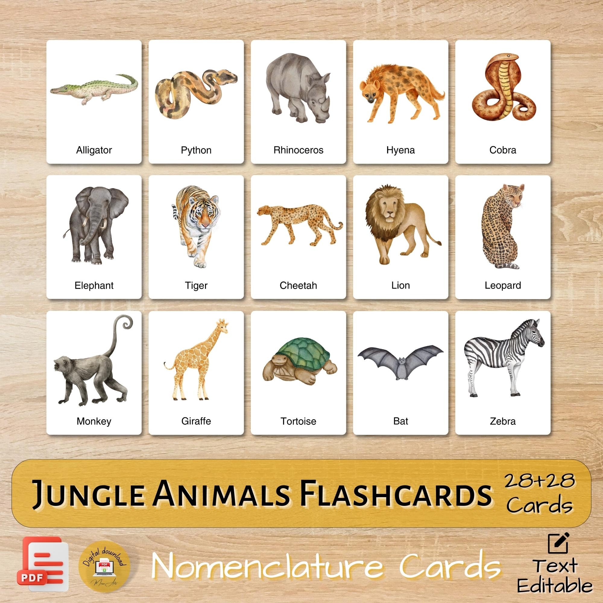 Real Life Jungle Animals Cards
